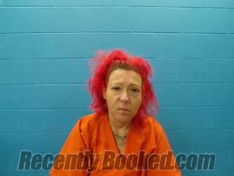 Recent Booking / Mugshot for LONA MICHELLE HELGE in Guadalupe County, Texas