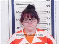 Recent Booking / Mugshot for SHYANN LYNNRAE WILSON in Big Horn County ...