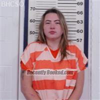 Recent Booking / Mugshot for KAYLEY JO HARRIS in Big Horn County, Wyoming