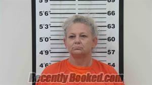 Recent Booking / Mugshot for RHONDA L WARREN in Lincoln County, Wyoming