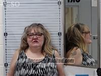 Recent Booking / Mugshot for BRENDA LEA SCHMIDT in Park County, Wyoming