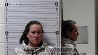 Recent Booking / Mugshot for SEANNA LEIGH KESSLER ISAACSON in Park ...