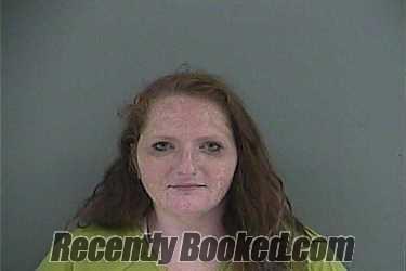Recent Booking / Mugshot for TANNA ELIZABETH FITCH in Anderson County ...