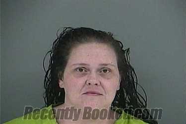 Recent Booking / Mugshot for MINDY RENEE SAVAGE in Anderson County ...