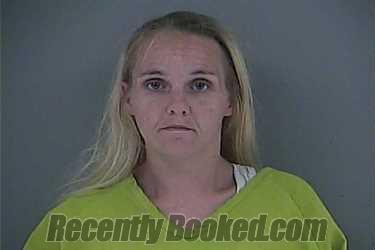 Recent Booking / Mugshot for DANIELLE BREE PHILLIPS in Anderson County ...