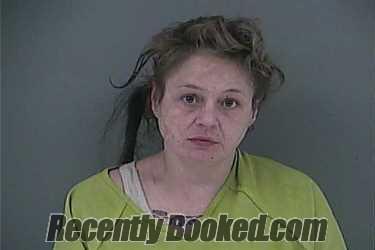 Recent Booking / Mugshot for AMBER RENAE TILSON in Anderson County ...