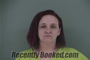 Recent Booking / Mugshot for HEATHER MICHELLE LUSTER in Anderson County ...