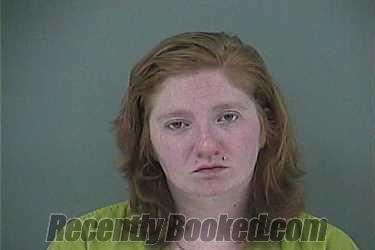 Recent Booking / Mugshot for STACIE KRISTEN GOOSIE in Anderson County ...