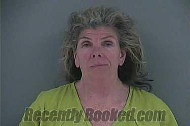 Recent Booking / Mugshot for LOU ANN ROBERTS in Anderson County, Tennessee