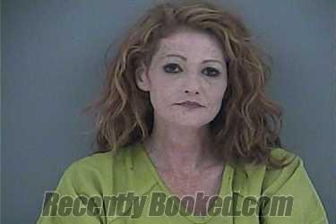 Recent Booking / Mugshot for DANIELLE RENEE BULLOCK in Anderson County ...