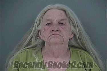 Recent Booking / Mugshot for PHYLLIS CATHERINE BERRY in Anderson County ...