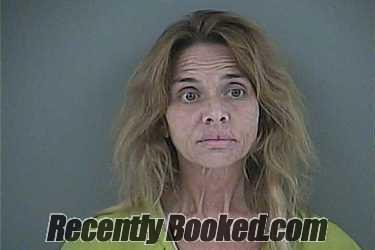 Stephanie Ann Mcmath Mugshot & Arrest Info | Anderson County, TN