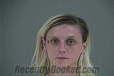 Recent Booking / Mugshot for STEPHANIE N BIGGS in Anderson County ...
