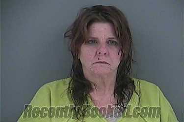 Recent Booking / Mugshot for PAMELA J HONEGGER in Anderson County ...