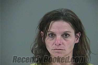 Recent Booking / Mugshot for TARA M ISHAM in Anderson County, Tennessee