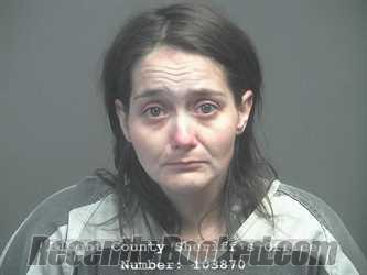 Recent Booking / Mugshot for CHELSEY LEIGH WHEELER in Blount County ...