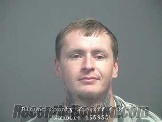 Recent Booking / Mugshot for JAMES CASEY BURCHFIELD in Blount County ...