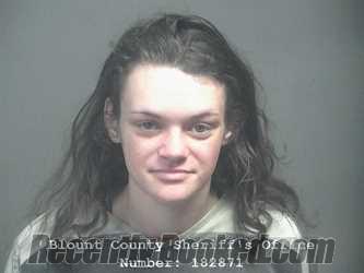 Recent Booking / Mugshot for SARAH ELIZABETH TOZZI in Blount County ...