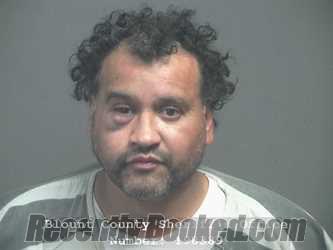 Recent Booking / Mugshot for HUGO ARTURO NAVARRO RAMIREZ in Blount County, Tennessee