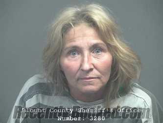 Recent Booking / Mugshot for DEBORAH MARIE CORRELL in Blount County ...