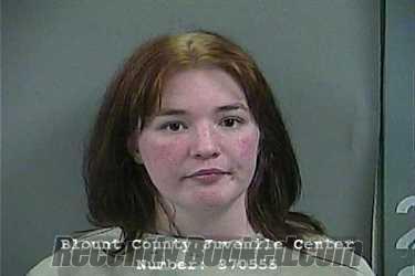 Recent Booking / Mugshot for LYNDSIE ANN METCALF in Blount County ...