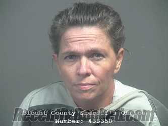 Christina Ann Whipple Mugshot & Arrest Info | Blount County, TN