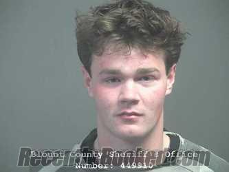 Recent Booking / Mugshot for JOSEPH DANIEL BOSSE in Blount County ...