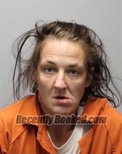 Recent Booking / Mugshot for MISTY MICHELLE LINDER in Bradley County ...