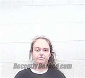 Recent Booking / Mugshot for ALANA J MANN in Haywood County, Tennessee