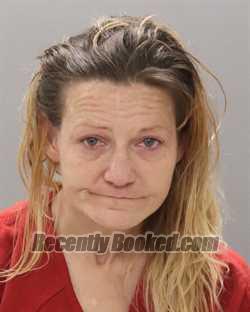 Recent Booking / Mugshot for JENNIFER ROSE YEAROUT in Knox County ...