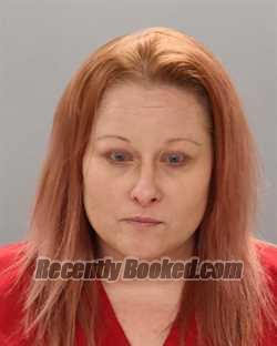 Recent Booking / Mugshot for ERIN ELIZABETH FLEENOR in Knox County ...
