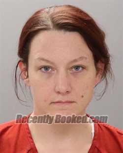 Recent Booking / Mugshot for HEATHER BRITTANY HAYNES in Knox County ...