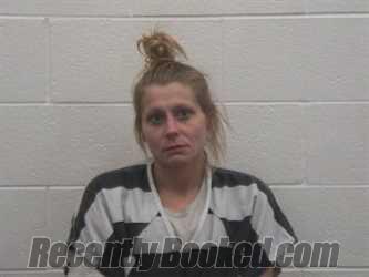Recent Booking / Mugshot for ALICIA DAWN PARTIN in Loudon County, Tennessee