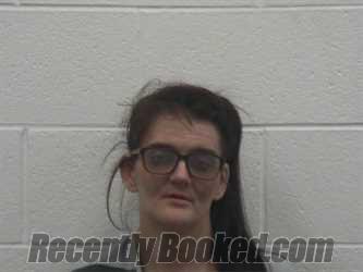 Recent Booking / Mugshot for JESSIKA DARLENE WILSON in Loudon County ...