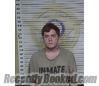 Recent Booking / Mugshot for LOGAN MCKHEEAN in McMinn County, Tennessee