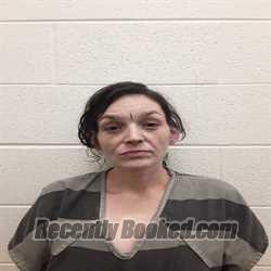 Recent Booking / Mugshot for ELIZABETH MARIE BLEVINS in Monroe County ...