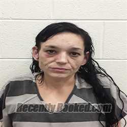 Recent Booking / Mugshot for ELIZABETH MARIE BLEVINS in Monroe County ...