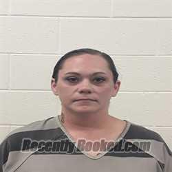 Recent Booking / Mugshot for AMANDA KAYE DAVIS in Monroe County, Tennessee