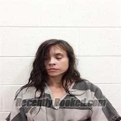 Recent Booking / Mugshot for LAURA BETH DAVIS in Monroe County, Tennessee