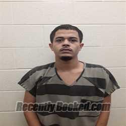 Recent Booking / Mugshot for ELIJAH KEAN FERGUSON in Monroe County ...