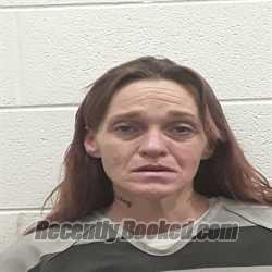 Recent Booking / Mugshot for SHANDA NICOLE GIBSON in Monroe County ...