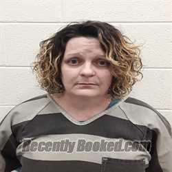 Recent Booking / Mugshot for SONYA JEAN GREEN in Monroe County, Tennessee