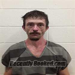 Recent Booking / Mugshot for RICKY LEE JENKINS in Monroe County, Tennessee