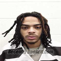 Recent Booking / Mugshot for SHAUN MARCUS LOVE in Monroe County, Tennessee