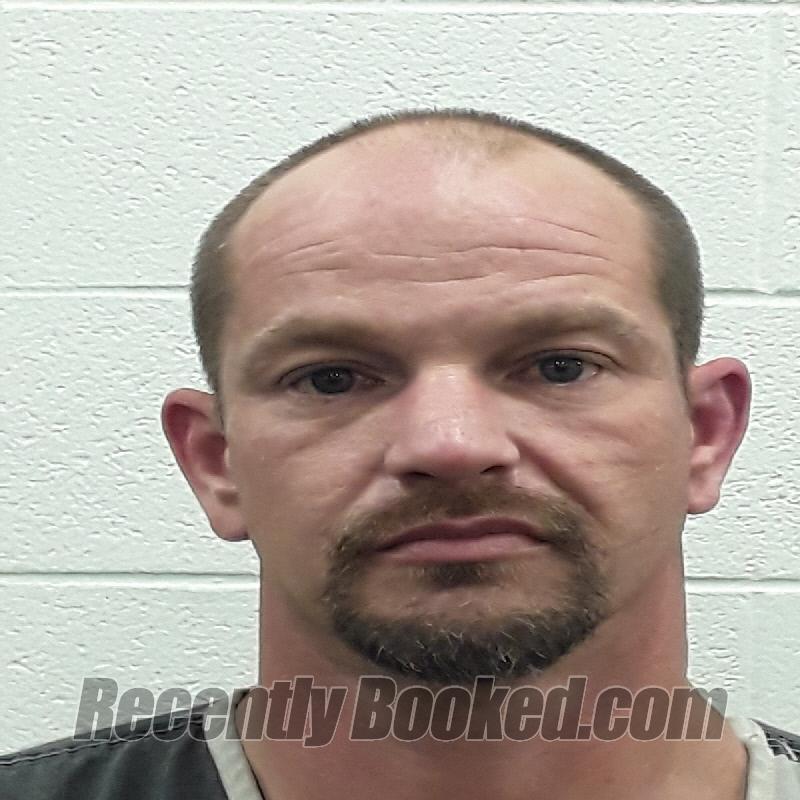 Recent Booking / Mugshot for DENNIS WAYNE MANIS in Monroe County, Tennessee