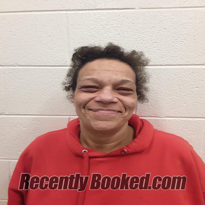 Recent Booking / Mugshot for AMBER LEE ROLLINS in Monroe County, Tennessee