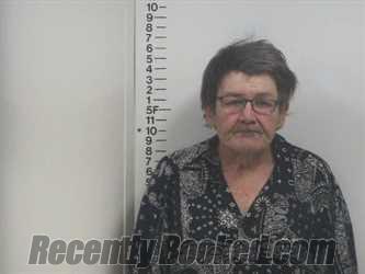 Recent Booking / Mugshot for FRED B JR ADAMS in Putnam County, Tennessee