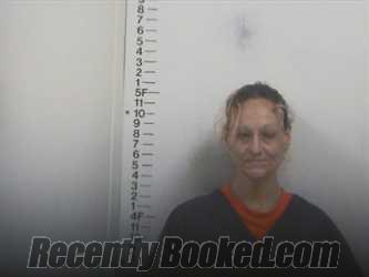 Recent Booking / Mugshot for CHRISTIE D BOULDIN in Putnam County, Tennessee