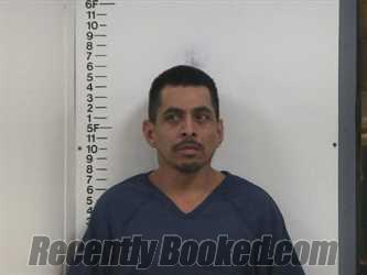 Recent Booking / Mugshot for JOSE LUIS BENEGAS-SIERRA in Putnam County ...