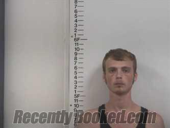 Recent Booking / Mugshot for LOGAN J DOMINIQUE in Putnam County, Tennessee